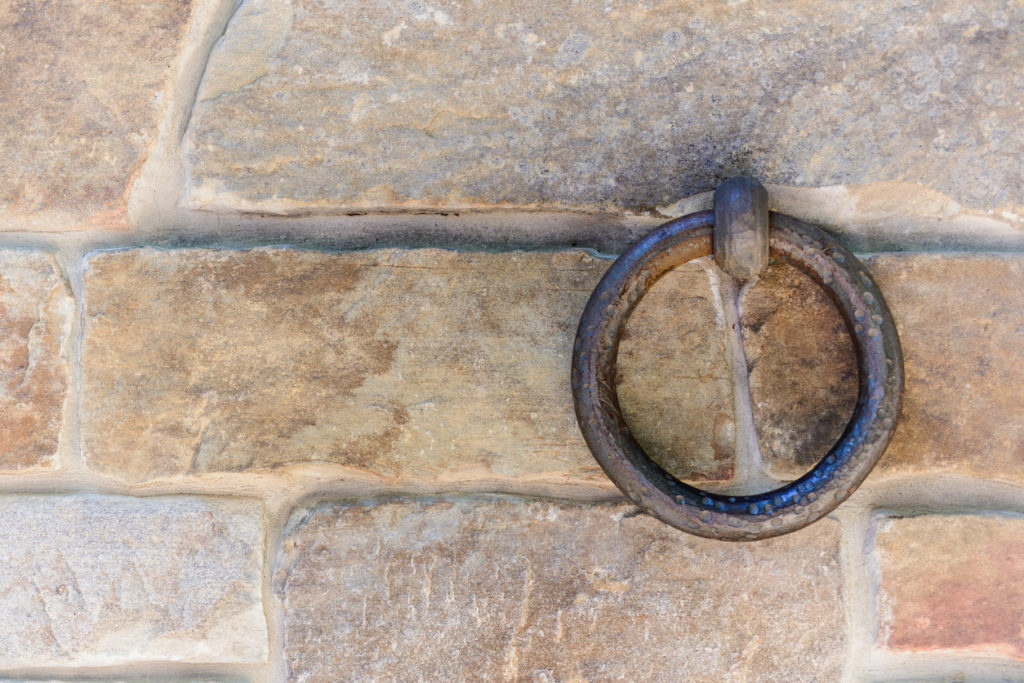 Maueranker setzen - Mit dieser Vorgehensweise gelingt es Ihnen