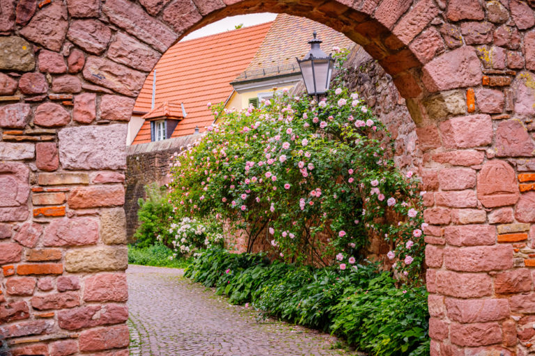Rundbogen selber machen - Mit dieser Anleitung gelingt es Ihnen