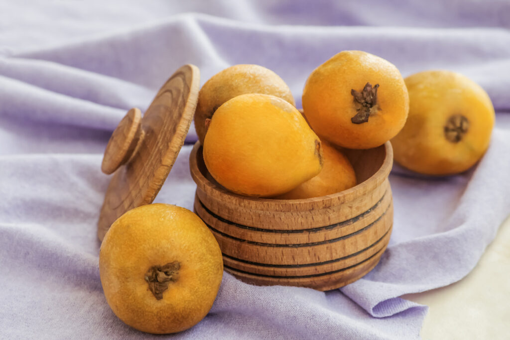 Mispel - Tipps zur Vermehrung