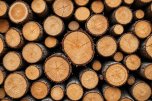 Multiplex richtig lasieren » Tipps für ein perfektes Finish