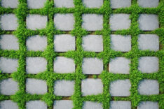 Rasengittersteine verlegen » Ihre Schritt-für-Schritt-Anleitung